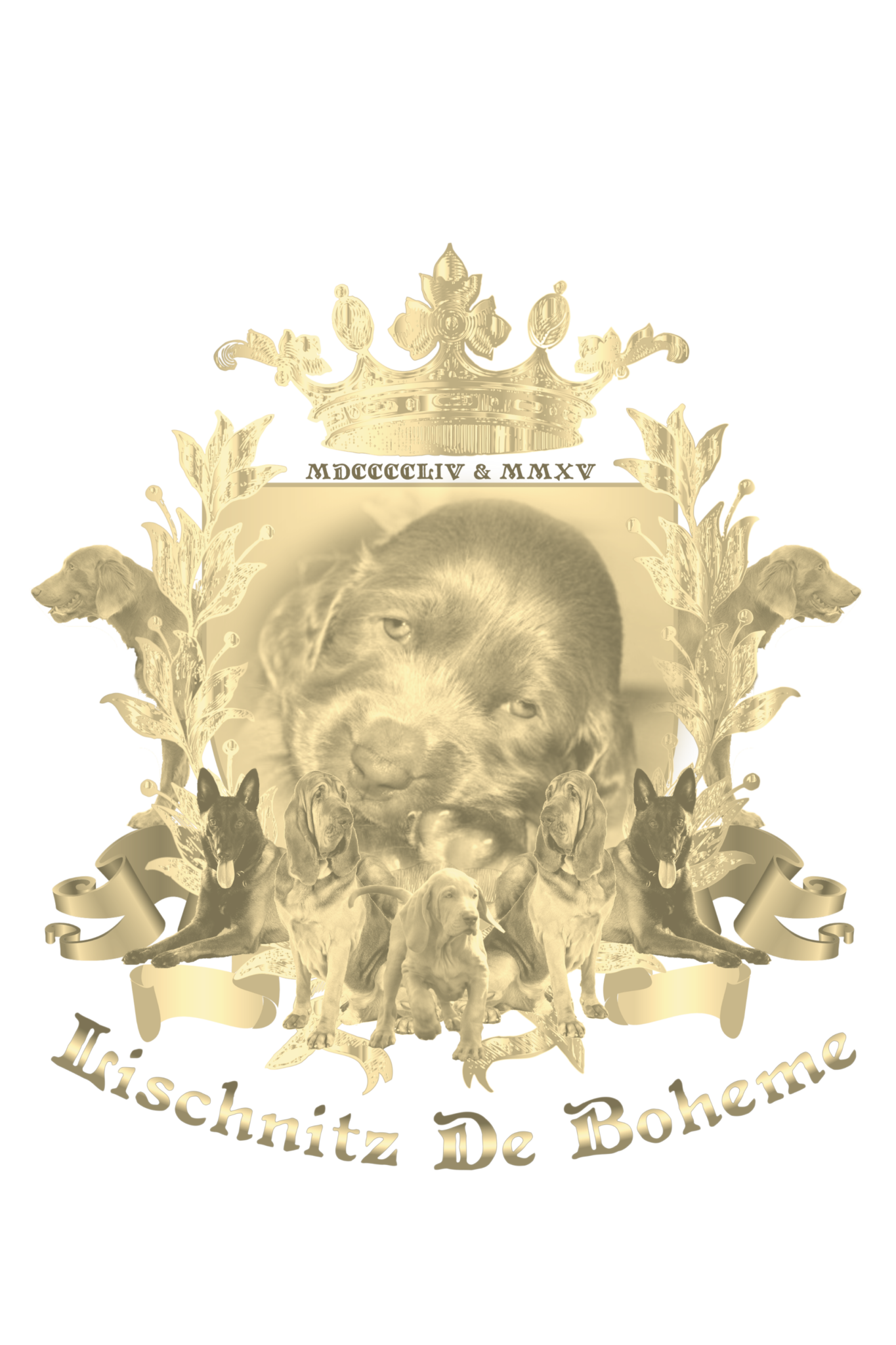 LDB LOGO NEWEST GOLD LIGHT (2) | Lischnitz De Boheme